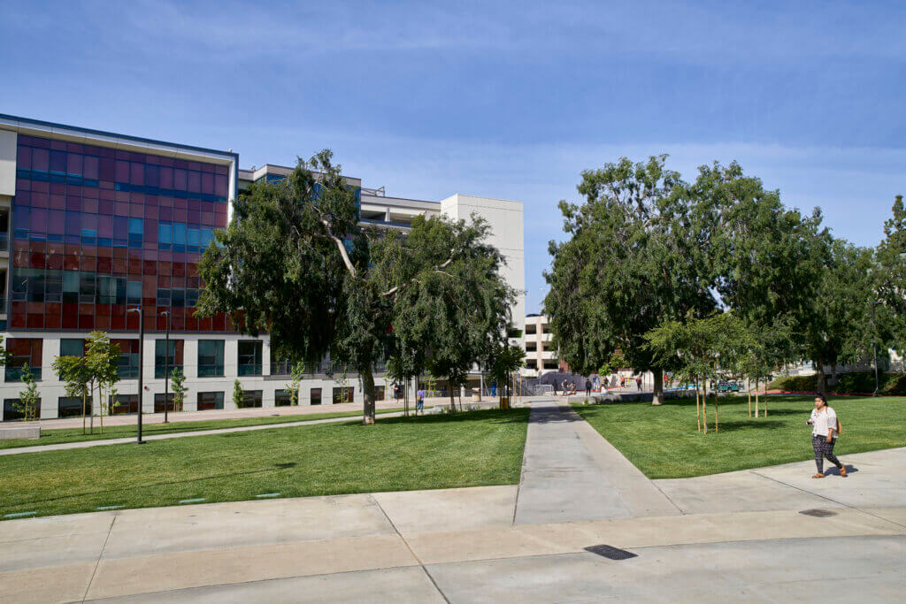 ELAC Student Success - BuildLACCD